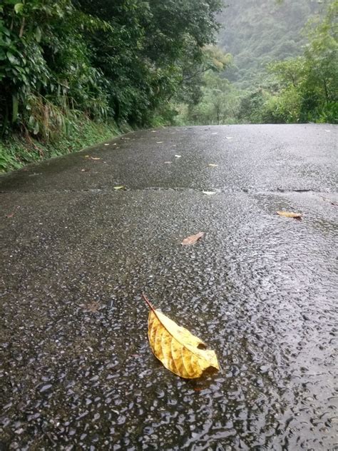 汐止 姜子寮絕壁步道 時空旅人