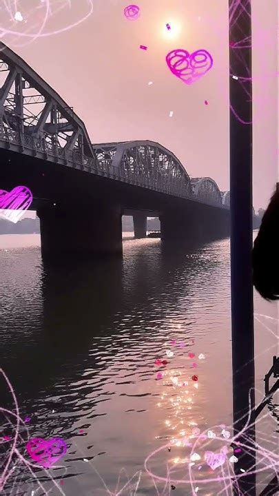 কদম গাছের ফাঁকে চান দেখতে পাওয়া যাচ্ছে 🌝 Youtube