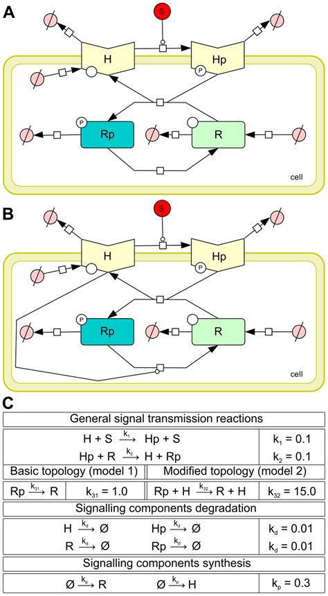 Model Of A Two Component Signalling Pathway A Basic Topology Of The Download Scientific
