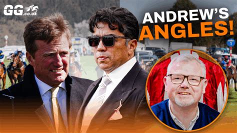 Andrews Angles Vital Gelding Stats And Trainers To Watch Uk