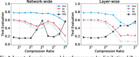 Deep Neural Network Pruning For Nuclei Instance Segmentation In