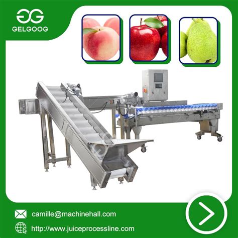 Automatic Fruit Weight Sorting Machine Vegetable Classifying Machine