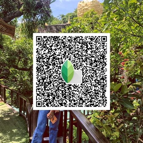 The 36 Best Snapseed Qr Codes Presets Artofit