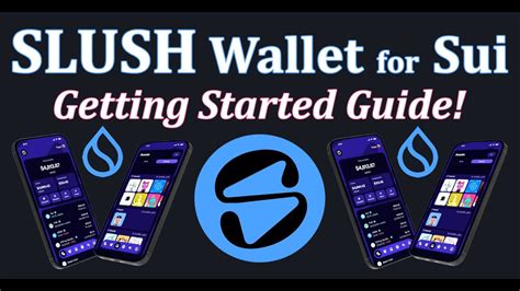 Sui Wallet Beginners Guide Stouy Crypto