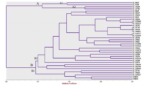 Dendrogram Showing Clustering Of Thirty Eight Mothbean Genotypes