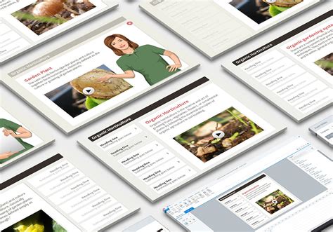 Storyline 360 Using Sliders For Interactive Infographics