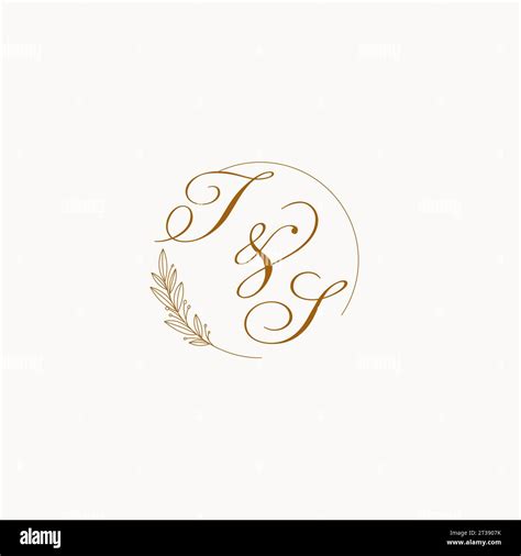 Initials Ts Wedding Monogram Logo With Leaves And Elegant Circular Lines Vector Graphic Stock