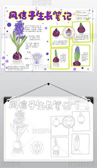 手抄报关于观察日记专题模板 手抄报关于观察日记图片素材下载 我图网