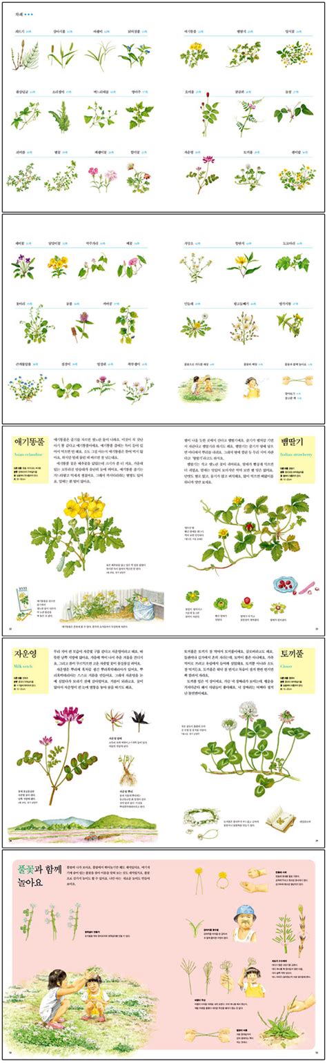 중고샵 내가 좋아하는 풀꽃 예스24
