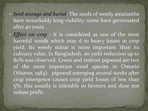 Amranthus Viridis Org Ppt Pptx