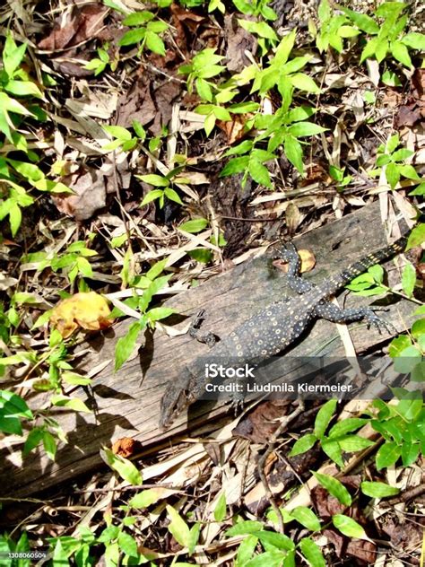 긴 꼬리 보트 플립 플롭 호텔 과 환상적인 풍경 태국에서 휴가에서 사진을 결합 가정 생활에 대한 스톡 사진 및 기타 이미지 가정 생활 경관 고요한 장면 Istock
