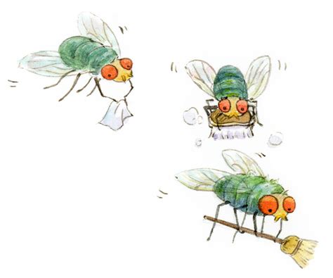 昆虫记晓茑 站酷zcool