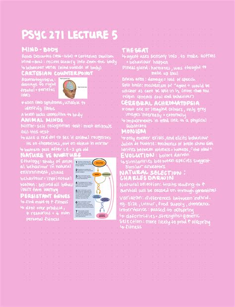 Psyc 271 Lecture 5 Notes Psy C 271 Lecture 5 Mind Body The Seat