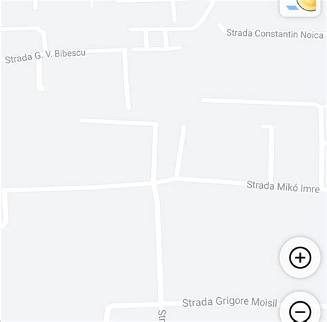 SetMyLocationEnabled True Doesn T Display The Blue Dot On Android