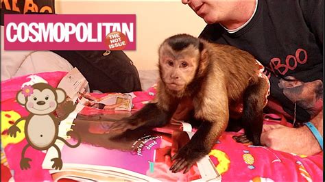Monkey Princess Reacts To Cosmopolitan Magazine Youtube