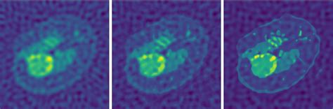 Reconstructions For Higher Noise Levels Download Scientific Diagram