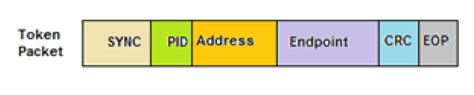 Solved A The Diagram Below Shows The Structure Of A Usb