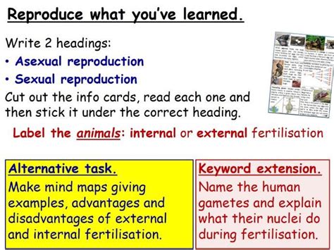 Year 7 Ks3 Fertilisation Teaching Resources