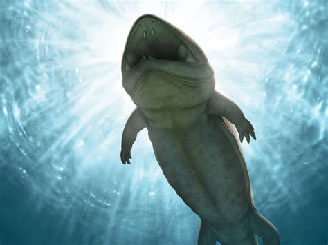 Researchers Identify Large 240 Million Year Old Amphibian Fossil National Post