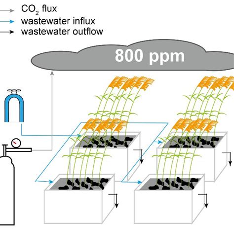 A Schematic Diagram Of The Cw System Download Scientific Diagram
