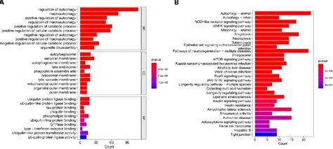Figure 2 From Identification And Validation Of Autophagy Related Gene Expression For Predicting