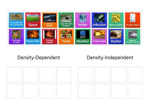 Density Dependent Vs Density Independent Limiting Factors Sorting Group Sort