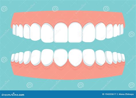 Mouth Teeth Clipart At Emma Gillies Blog