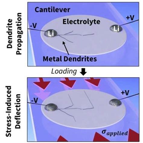 Researchers Claim To Beat Dendrite Battery Blues Battery Power Tips
