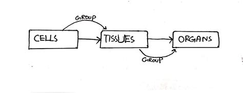 CSS Solved General Science And Ability Past Paper 2021