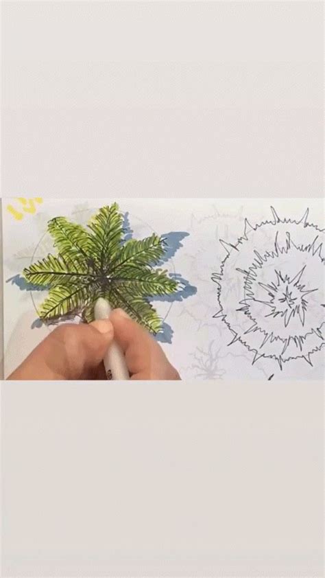 Architectural Tree Rendering Tips 2021 Howtodrawtree Architecture