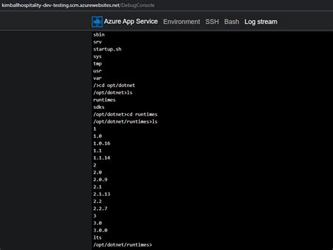 core specified framework microsoft aspnetcore app version 3