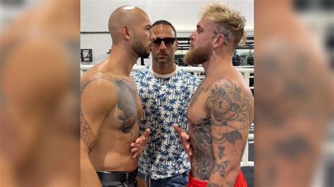 Jake Paul Vs Andrew Tate Video Gallery Know Your Meme