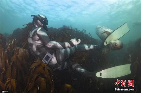 摄影师捕捉人与海豹同游嬉戏画面 新浪图片