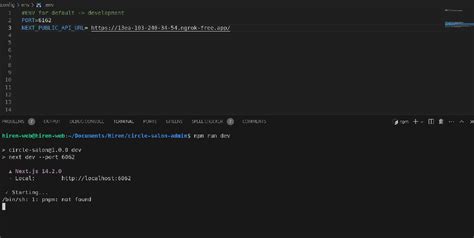 Overcoming Ngrok Free Plan Limits Access All Apis Easily