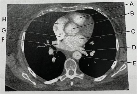 Figure 2 34 Diagram Quizlet
