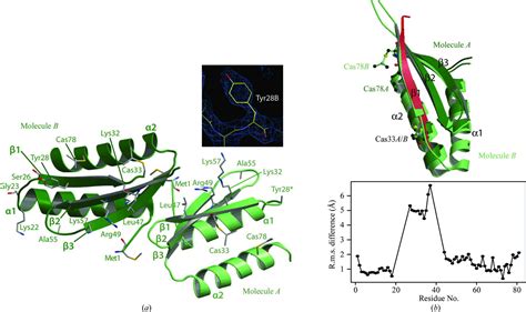 Iucr Structure Of Srp14 From The Schizosaccharomyces Pombe Signal Recognition Particle