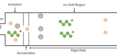 Types Of Mass Analysers Time Of Flight Tof Bio Analysis Centre