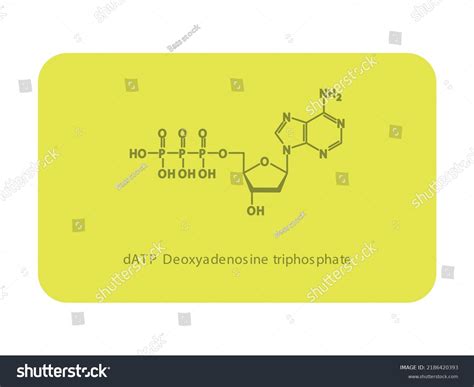 13 Datp 图片、库存照片和矢量图 Shutterstock