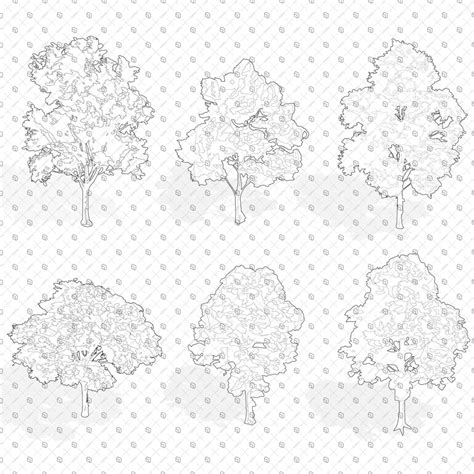 Axonometric Cad Trees With Shadows Toffu Co