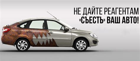 Динитрол 479. Цена и отзывы | АвтоЖидкость