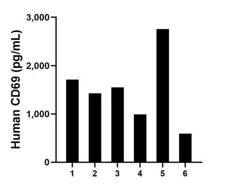 Cd69 Antibody 84258 5 Pbs Proteintech