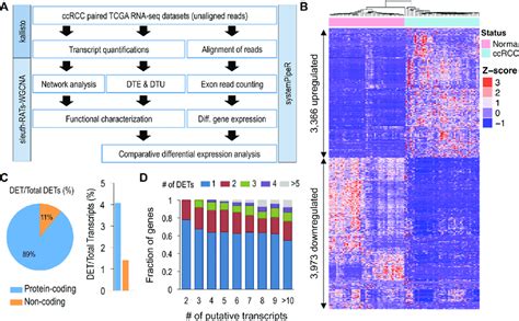 Global Identification Of Differential Transcript Expression In Ccrcc