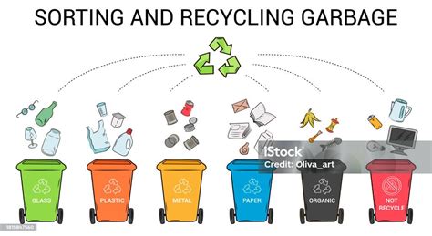 쓰레기 분류 및 재활용 컬러 포스터입니다 폐기물 분리 벡터 흰색 배경에 표지판이 있는 색상 쓰레기통입니다 쓰레기 수거통에 대한 스톡 벡터 아트 및 기타 이미지 Istock
