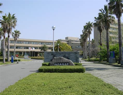 鳴門教育大学 偏差値 20232024年 学部別 学科 コース 一覧