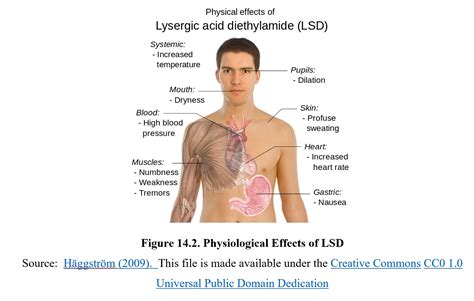 Chapter 14 Psychedelics Drugs And Behavior