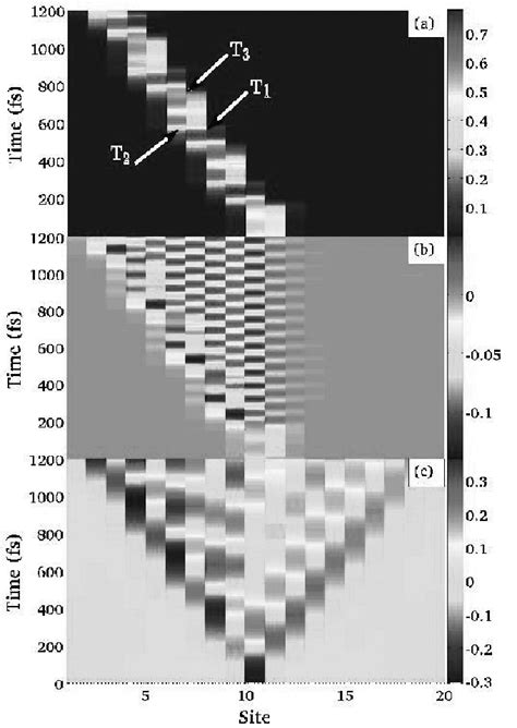 Polaron Dynamics In A One Dimensional System Molecular Stack A Download Scientific Diagram