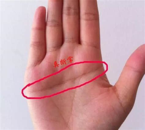 手相識人術：手相之斷掌紋周邊 每日頭條