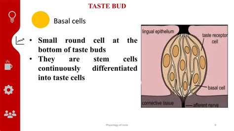 Group Incomplete Presentation On Physiology Of Tastepptx