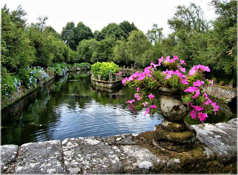 무료 이미지 나무 꽃 못 유럽 흐름 식물학 정원 플로라 수로 스페인 관목 유로파 아구아 갈리시아 피에 드라 정어리 식물원 삼림지 페드라