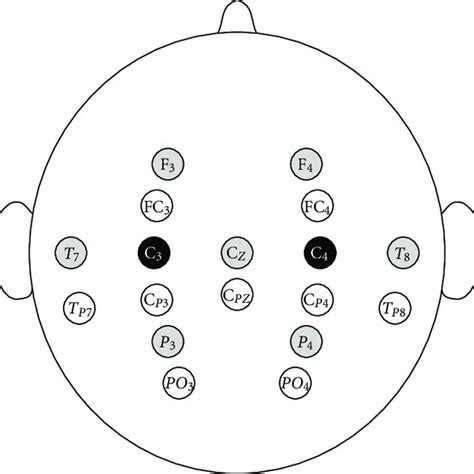 The Large Laplacian Spatial Filter Configuration For An Electrode Over Download Scientific